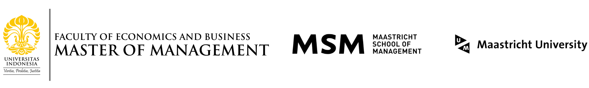 MM-MBA Dual Degree – Master of Management FEBUI